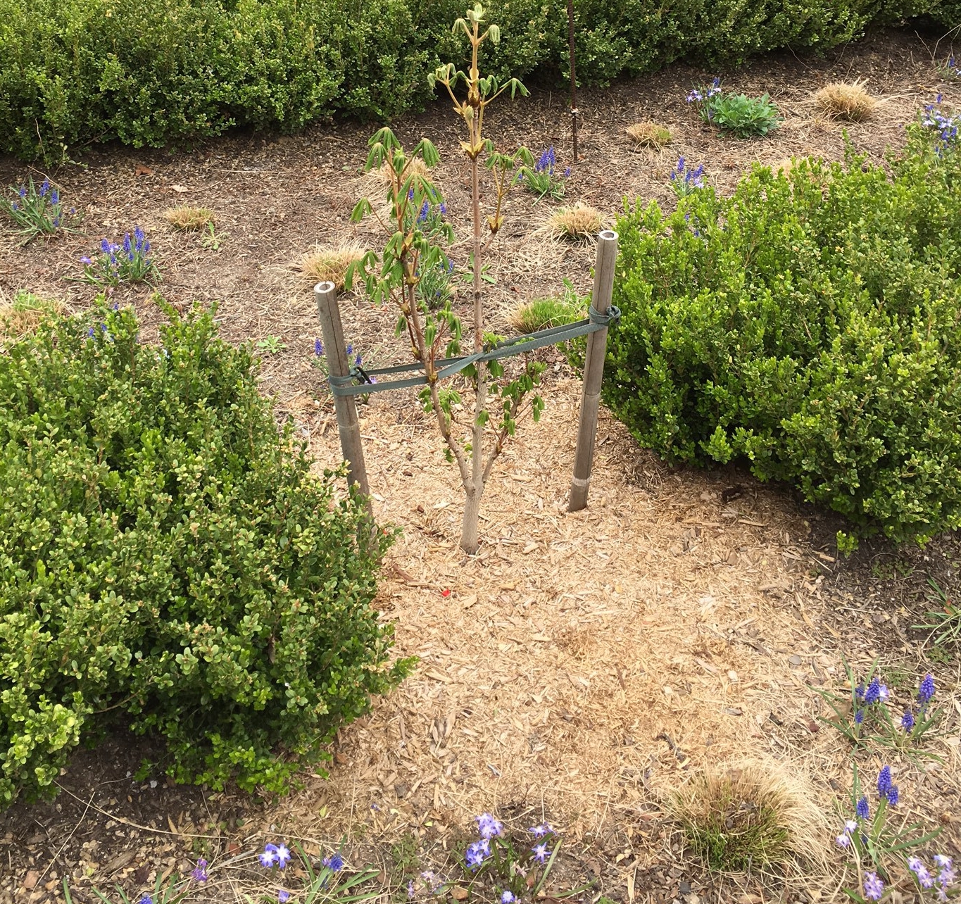 Earth Day 2017: The WTC, Where High Tech Sustains Mother Nature