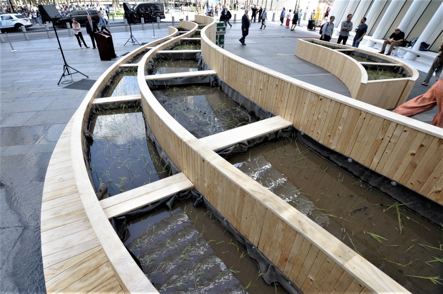 From the Rice Fields of Asia to the WTC